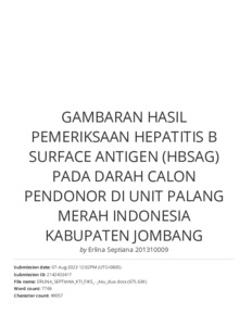 Gambaran Hasil Pemeriksaan Hepatitis B Surface Antigen (HBsAg) Pada ...